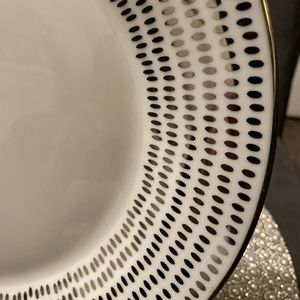 Ciroa | Dining | Ciroa Luxe Porcelain Platinum Dots Rim Dinner Plates ...